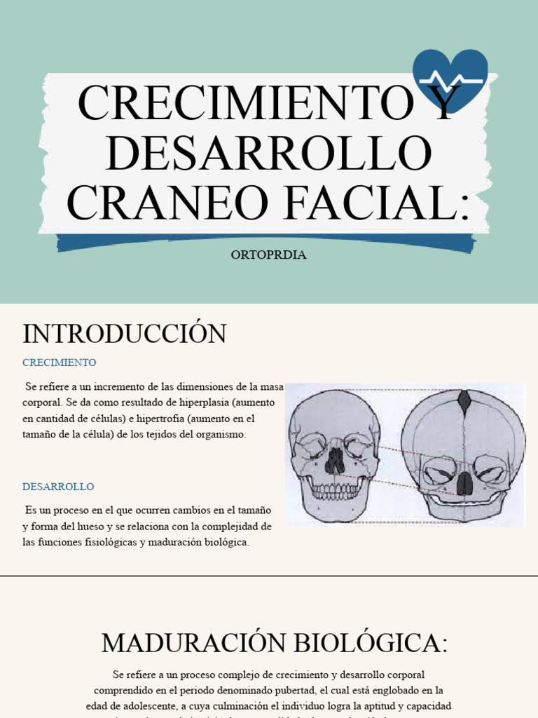 Crecimiento y Desarrollo Craneo Facial | PDF | Cráneo | Anatomía humana