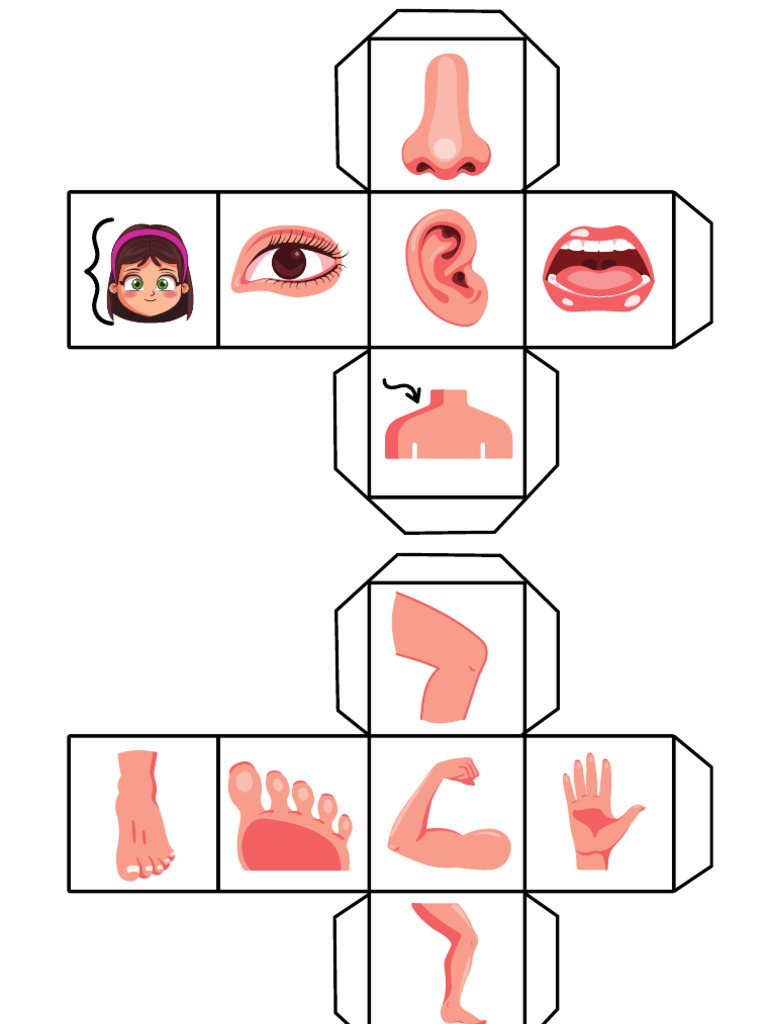 Body Dice Game | PDF