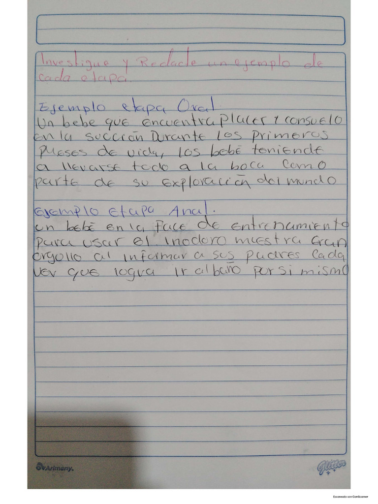 Tarea Fases Del Desarrollo Moral y Ana | PDF