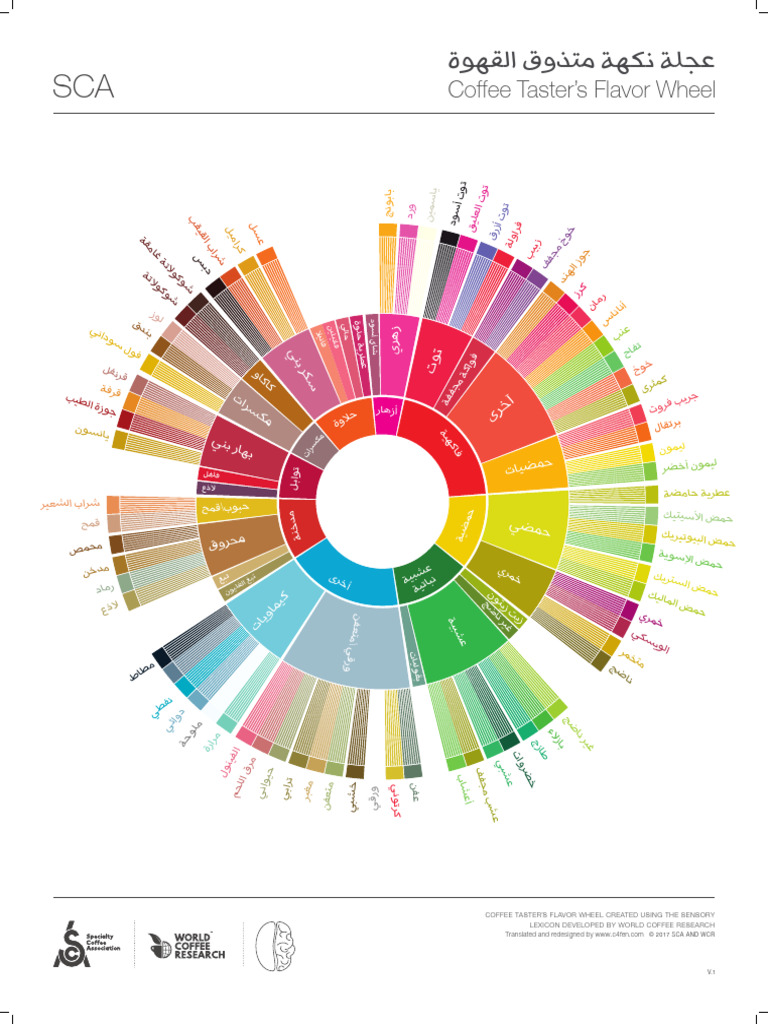 Coffee Taster's Flavor Wheel Guide | PDF | Coffee