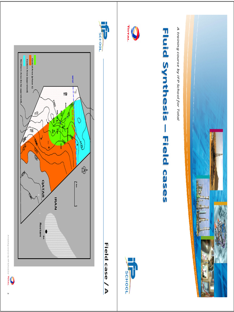 2-Fluid Synthesis - Field Cases | PDF