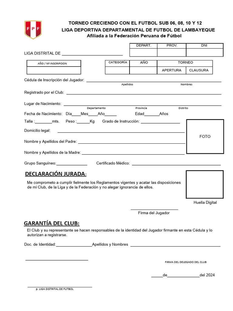 Fichas CCF 2024 | Descargar gratis PDF | Documento de identidad | Daños y perjuicios