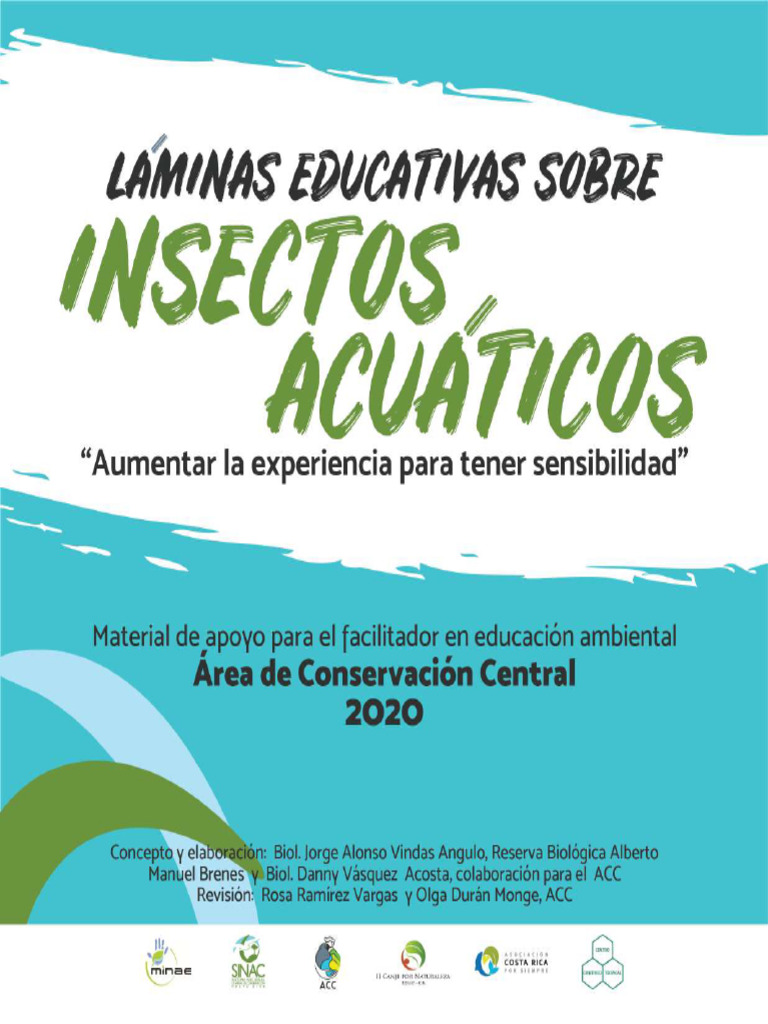 Laminas Educativas Insectos Acuaticos Acc | PDF