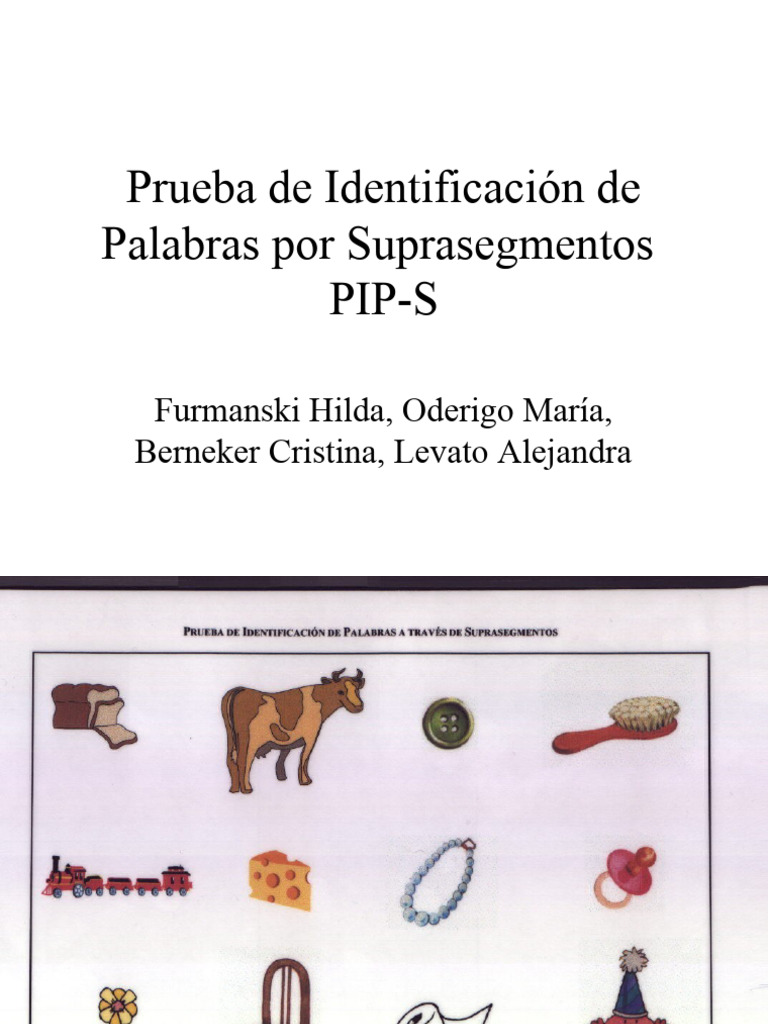 Pip S | PDF