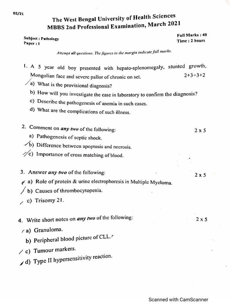 Second Prof 2021 | PDF