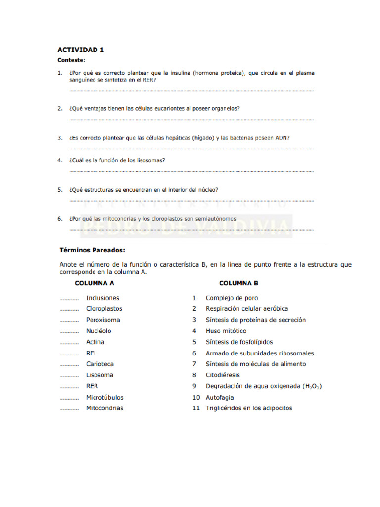Actividad 3° HC | PDF