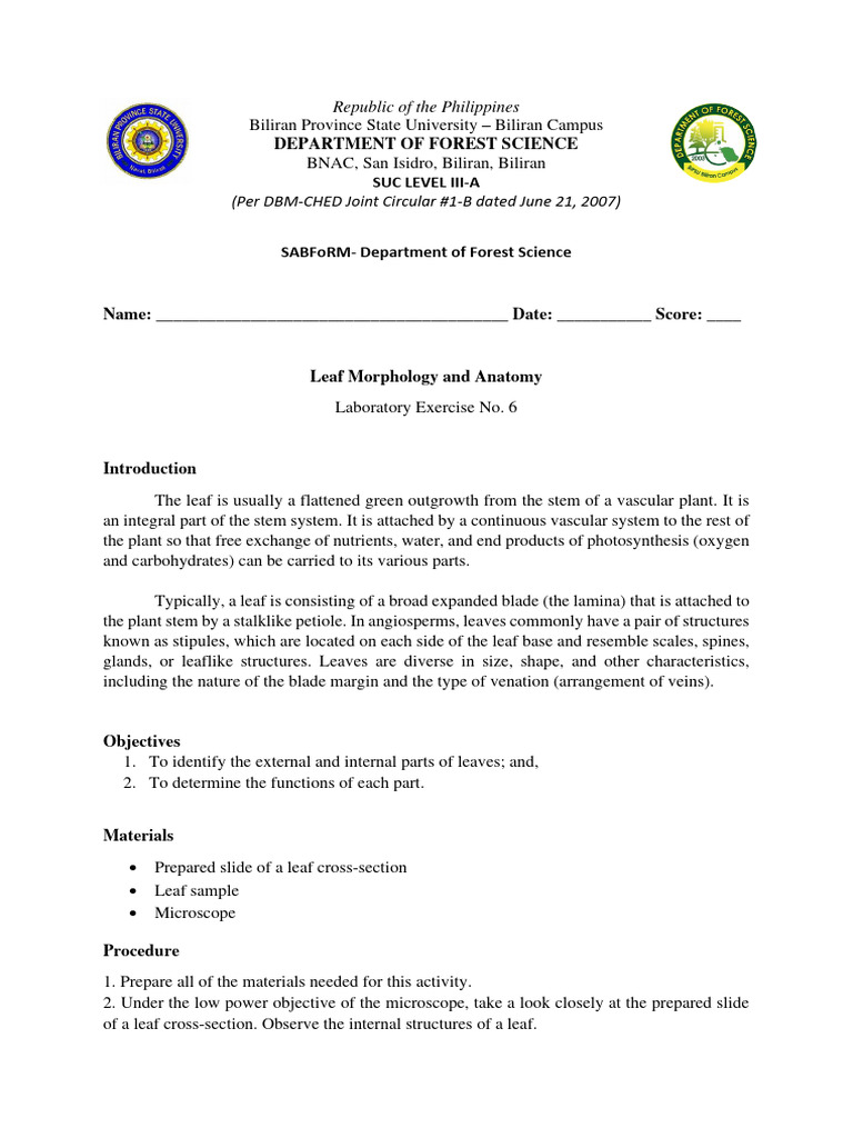 Lab Exercise No 6 Leaf Morphology and Anatomy | PDF | Home & Garden | Science & Mathematics