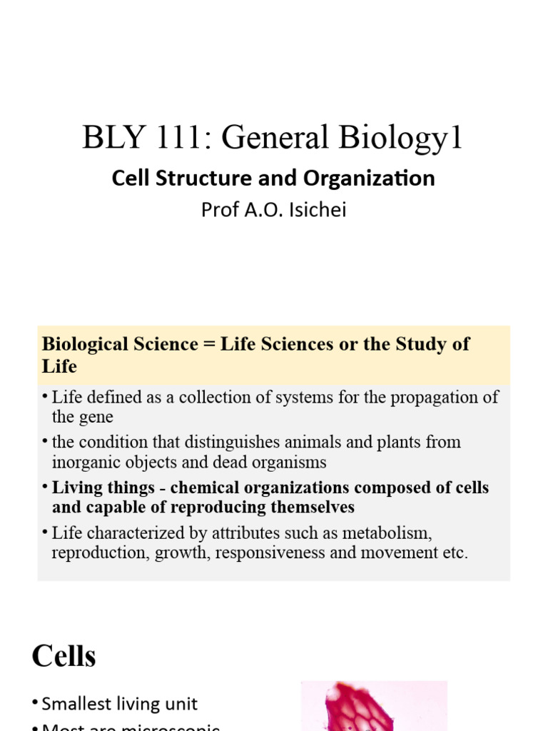 Bly 111 Cell and Cell Structure-1 | Download Free PDF | Cell (Biology) | Cell Membrane