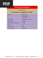 Flamazine® Cream for Burn Care | PDF | Wound | Dermatitis