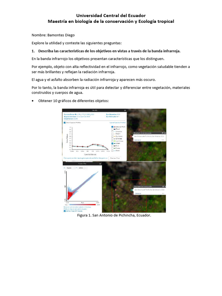 Bamontes Diego Práctica | PDF | Infrarrojo | Ciencias de la Tierra