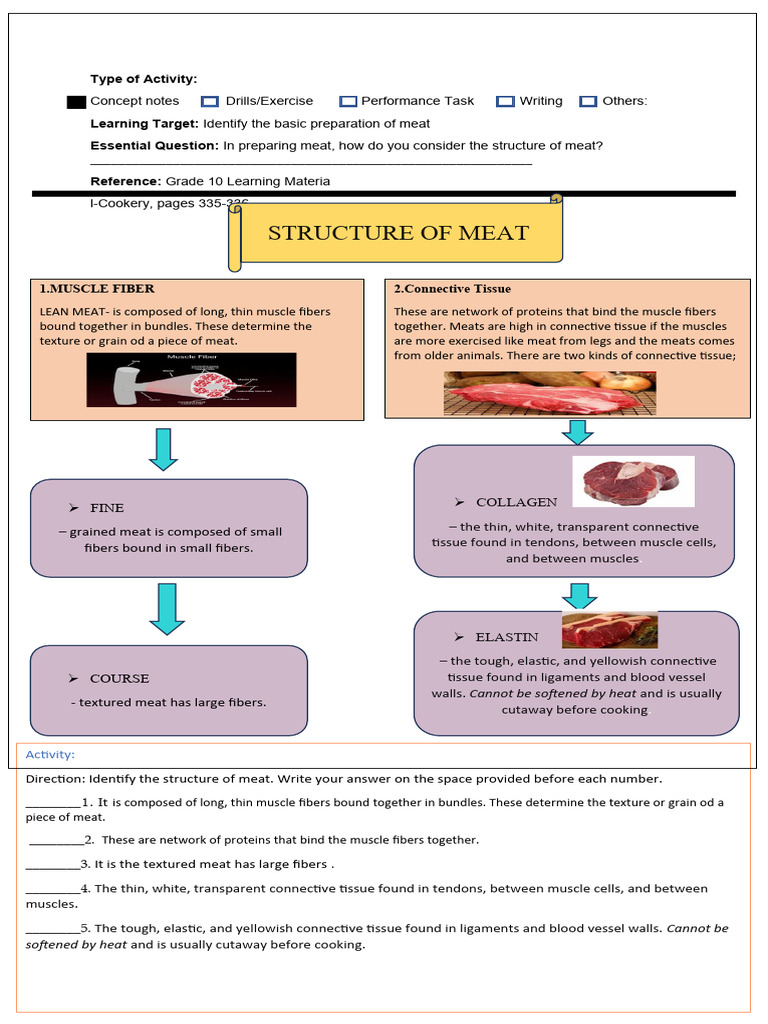 Activity 2 MEAT | PDF | Connective Tissue | Cell Biology