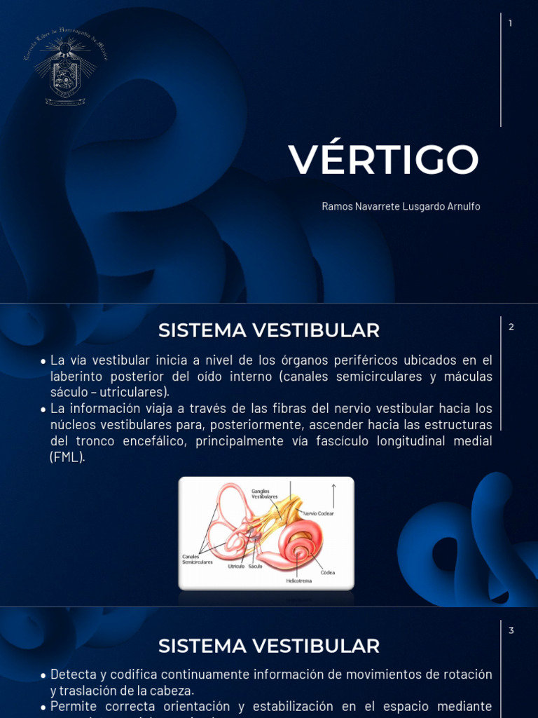 VÉRTIGO | PDF | Vértigo | Corteza cerebral