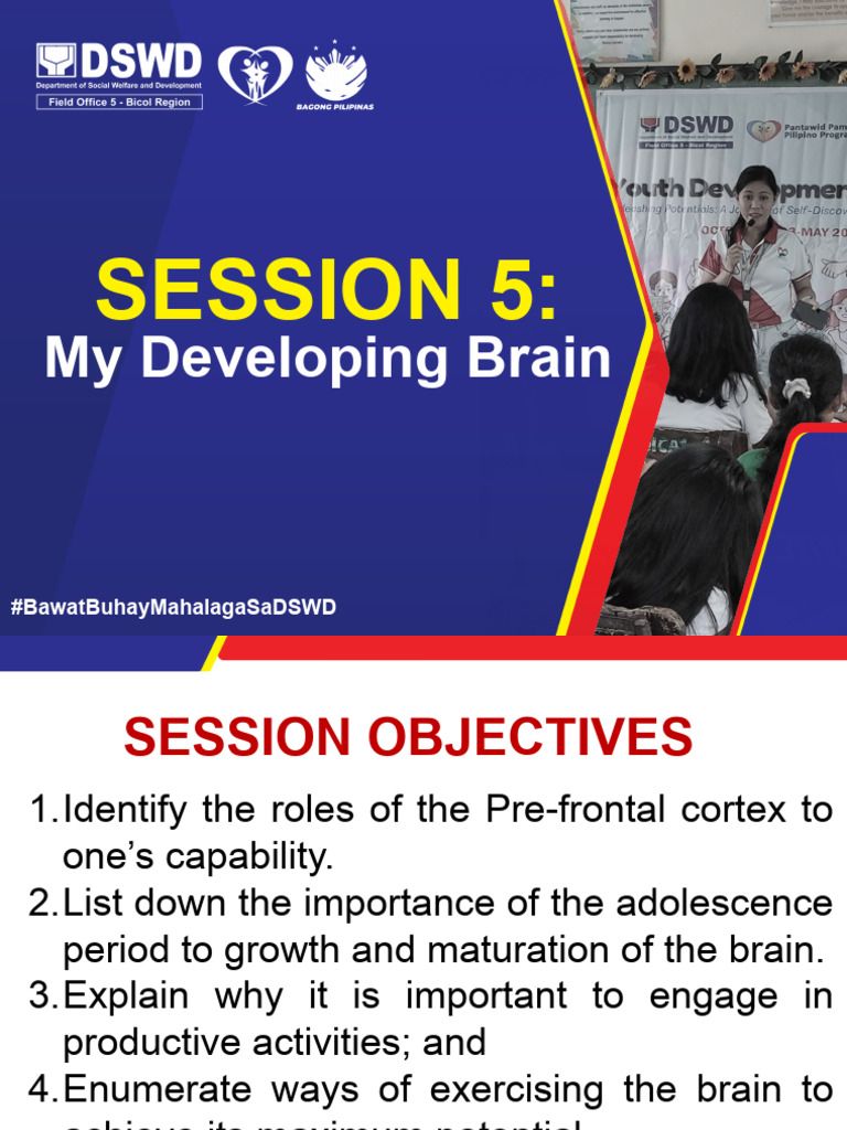 Session 5- My Developing Brain | PDF | Adolescence | Prefrontal Cortex