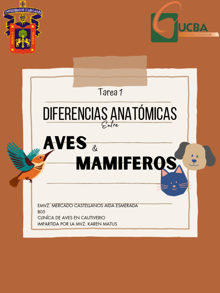 Tarea 1 (Diferencias Anatómicas Entre Aves y Mamíferos) Mercado Castellanos Aida Esmeralda B05 ...