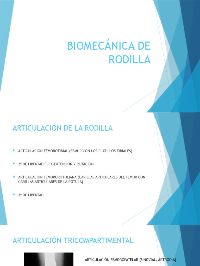 Biomecánica de Rodilla | Descargar gratis PDF | Rodilla | Anatomía del ...