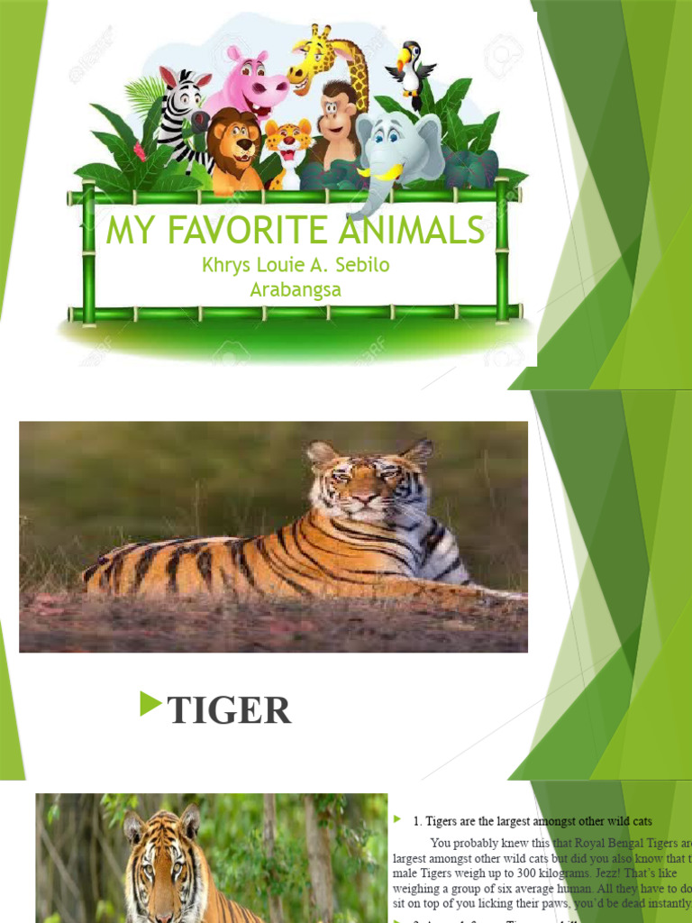 My Favorite Animals | PDF | History | General Fiction