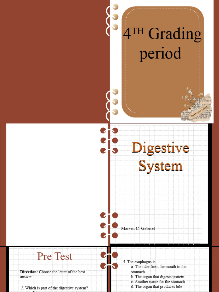 Digestive System Continuation | PDF | Digestion | Human Digestive System