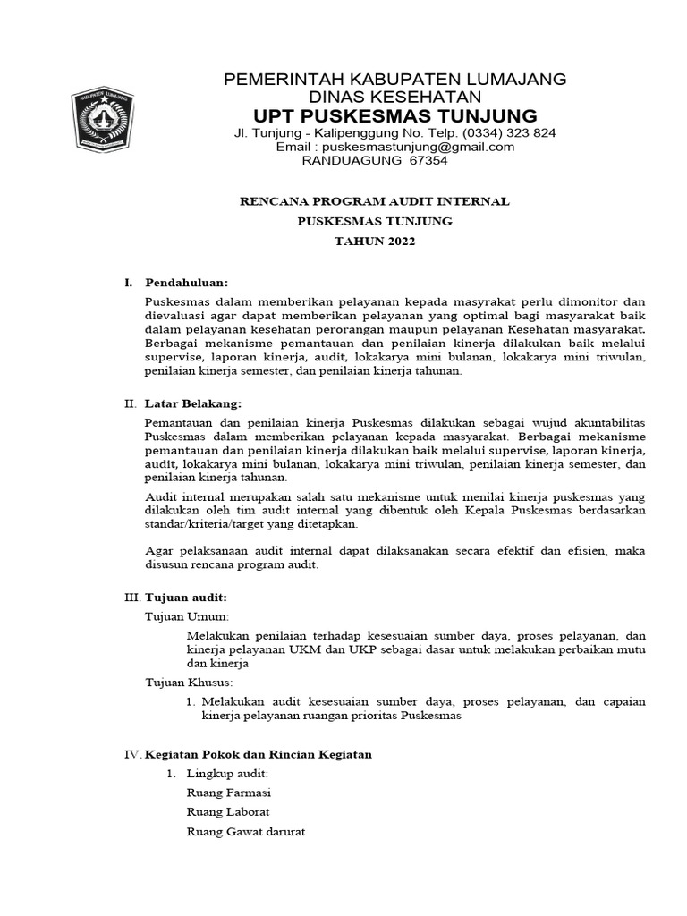 Rencana Audit Internal | PDF