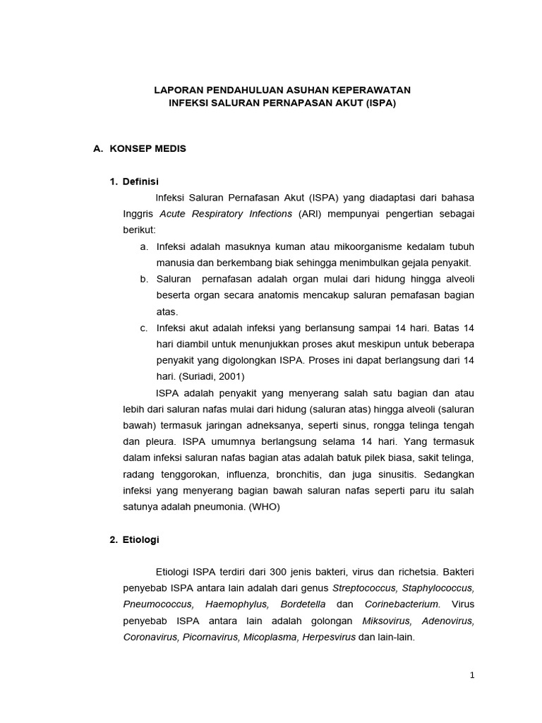 Panduan Asuhan Keperawatan ISPA | PDF | Pengembangan Diri | Kesehatan ...