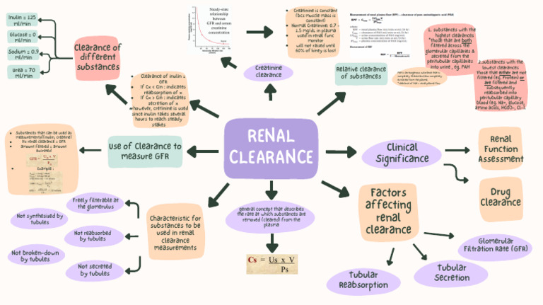 Renal Clearance | PDF | Creatinine | Kidney