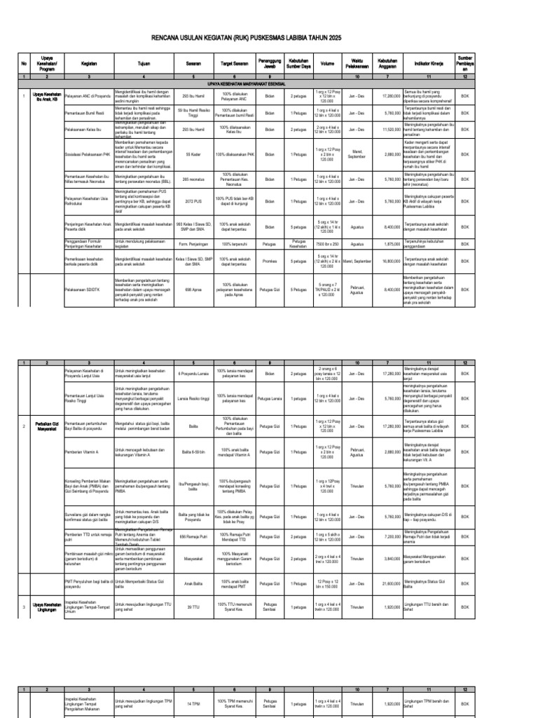 RUK Labibia Tahun 2025 | PDF