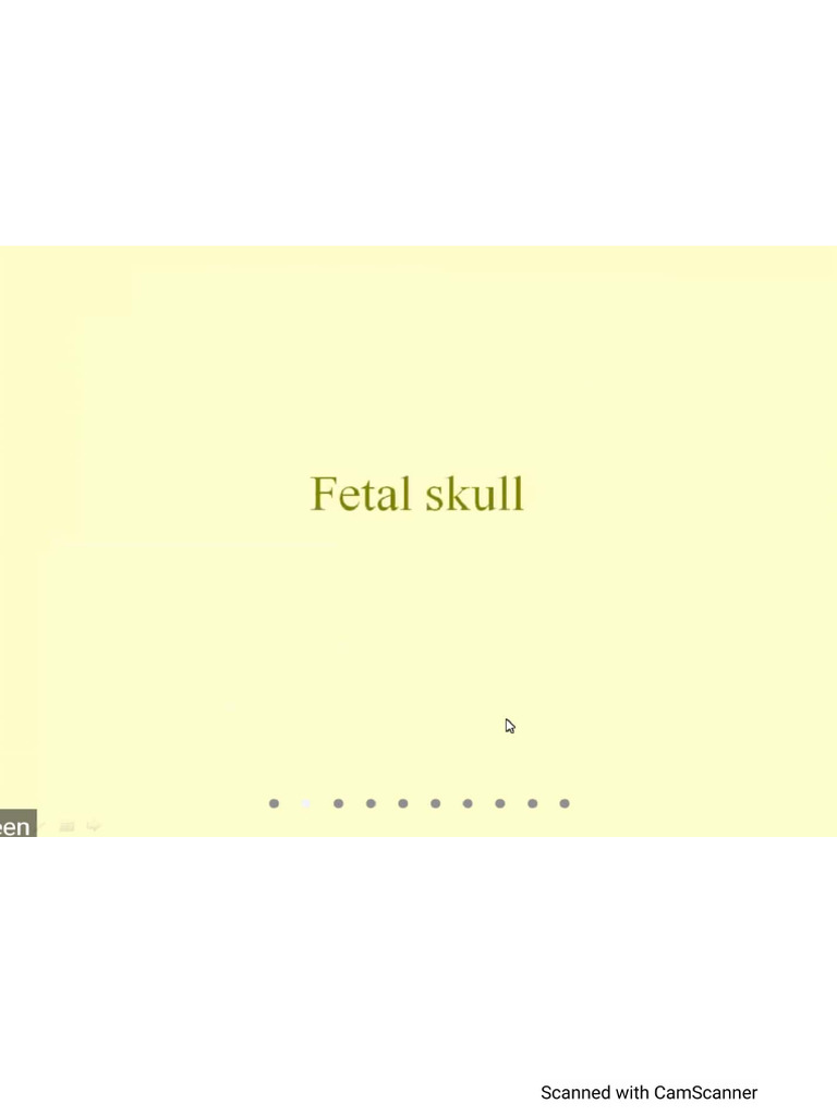 Fetal Skull | PDF