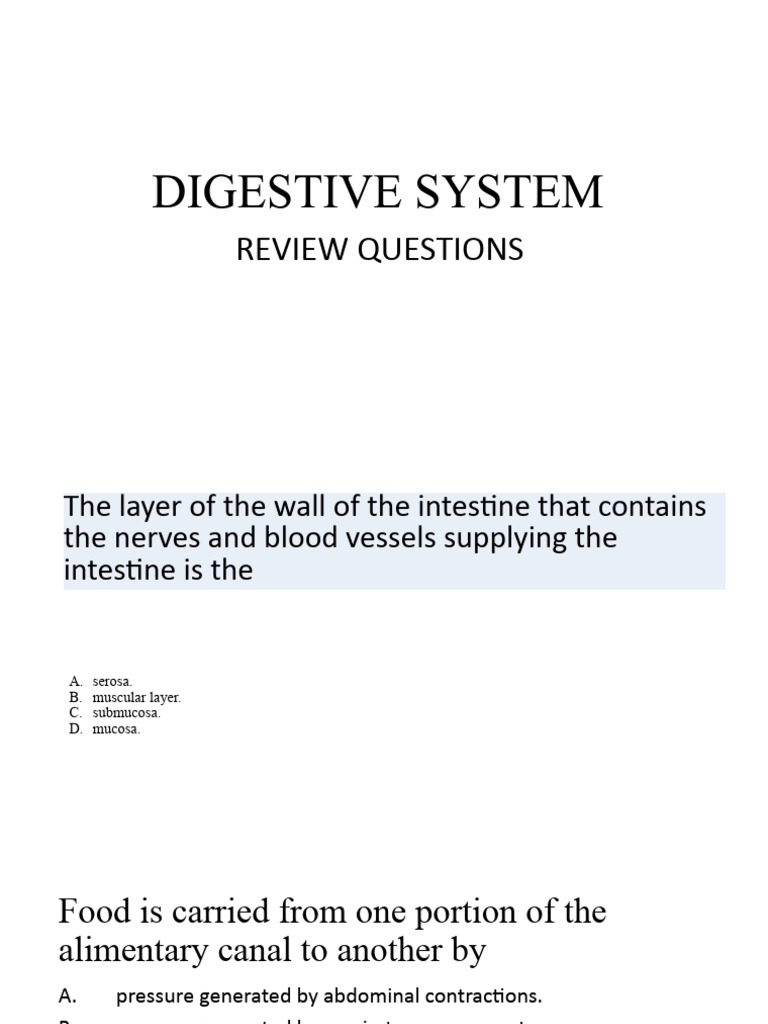 Digestive System Questions Ana Phy Gomez | PDF | Stomach | Digestion