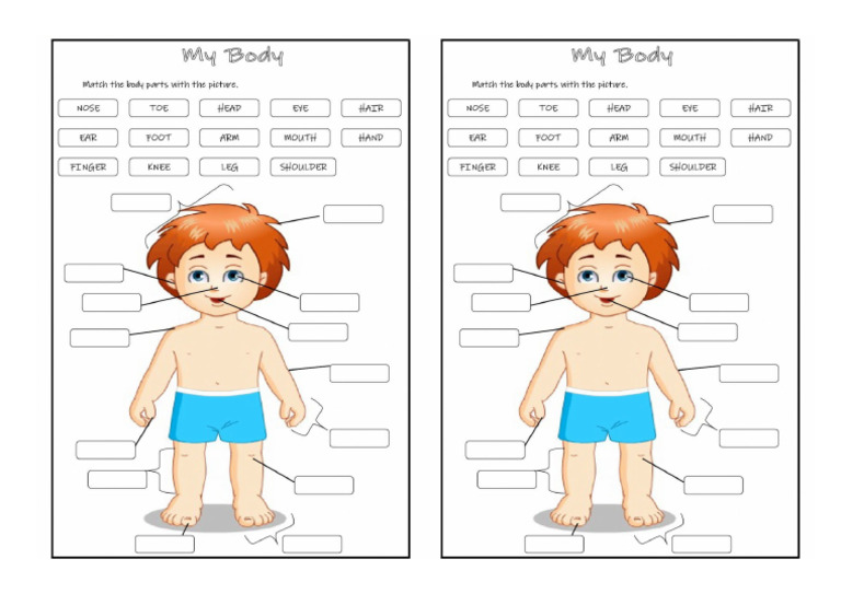 Exercise Body Parts | PDF