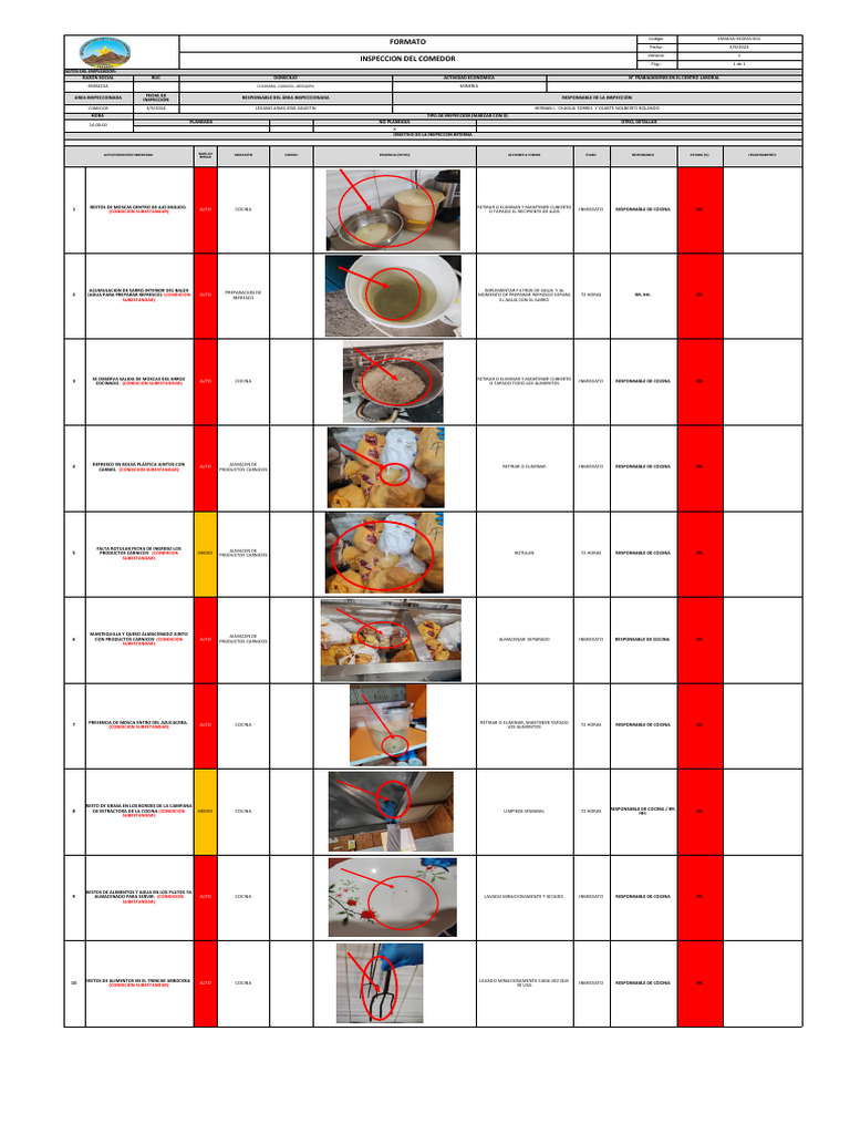 Inspeccion de Comedor - Marzo | PDF | Carne | Alimentos