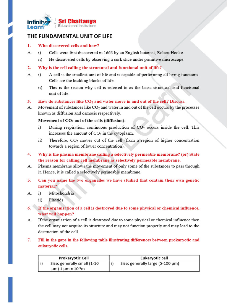 Understanding the Cell: Life's Unit | PDF | Cell (Biology) | Eukaryotes