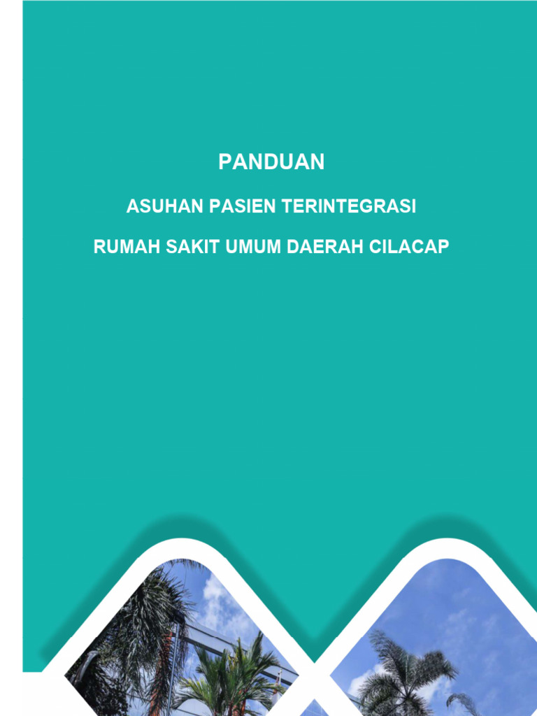 PAP 1 B Panduan Asuhan Pasien Terintegrasi | PDF
