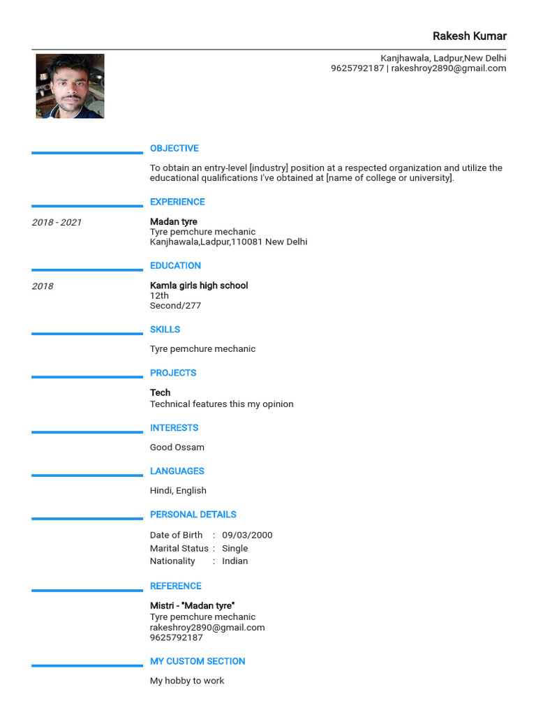 Intelligent CV Document | PDF