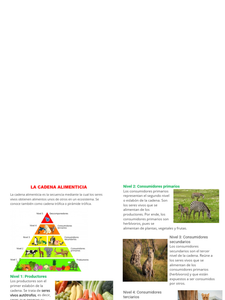 La Cadena Alimenticia | PDF | Red alimentaria | Organismos