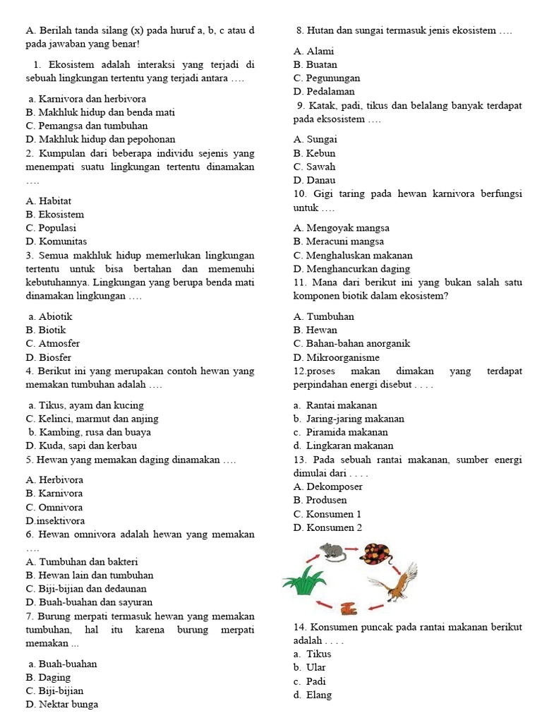 soal IPA ekosistem dan rantai makanan | PDF
