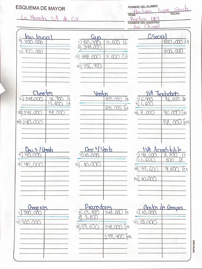 Saldos Esquemas de Mayor | PDF