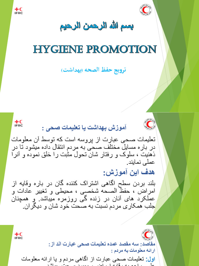 Hygiene Promotion | PDF