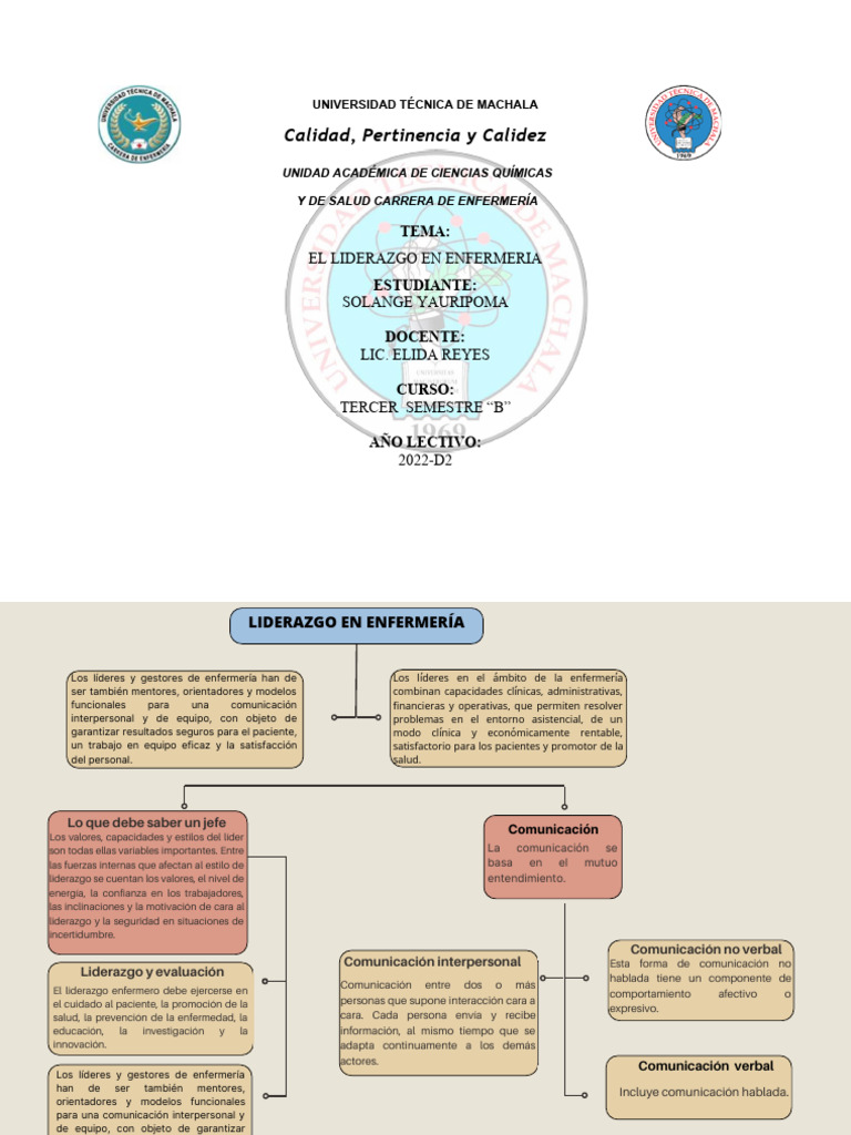 Liderazgo en Enfermeria | PDF | Enfermería | Liderazgo
