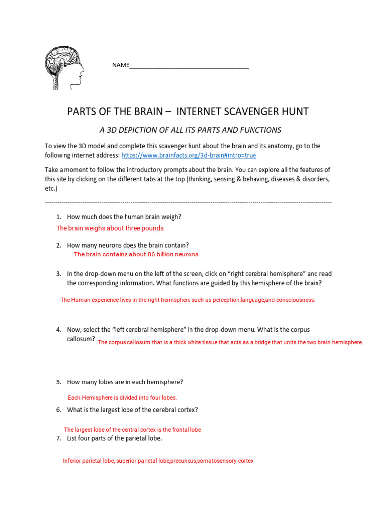 Kami Export - ISMAEL ALONSO-JUAREZ - brainSH - StudentWorksheet | PDF ...