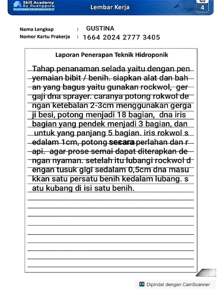 TPM 4 Laporan Penerapan Teknik Hidroponik - GUSTINA | PDF