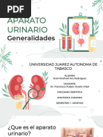 Obstrucción y Estasis Urinaria | PDF | Vejiga urinaria | Urología