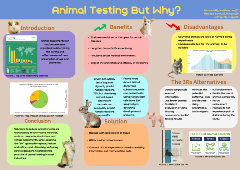 Animal Testing | PDF