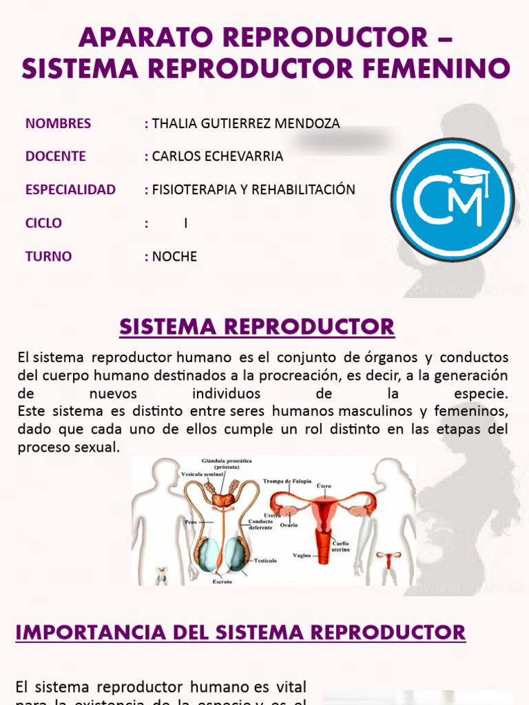 Aparato Reproductor Femenino | PDF | Sistema reproductivo | Vagina