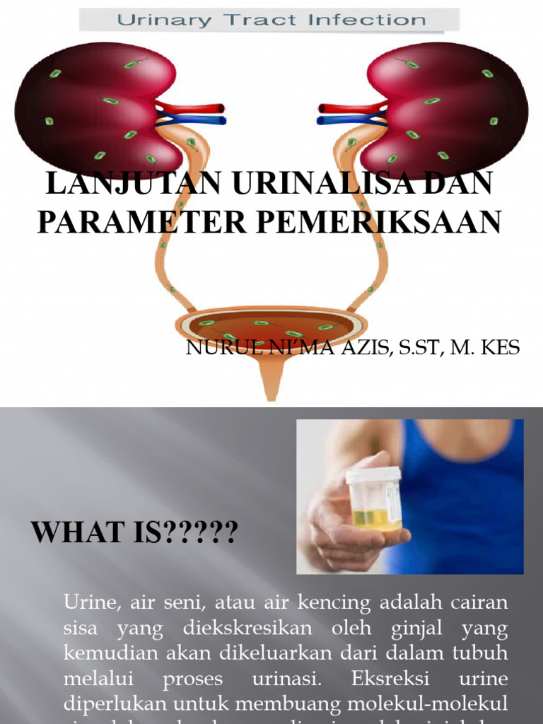 5 Lanjutan Mekanisme Pembentukan Urin | PDF | Kesehatan Holistik