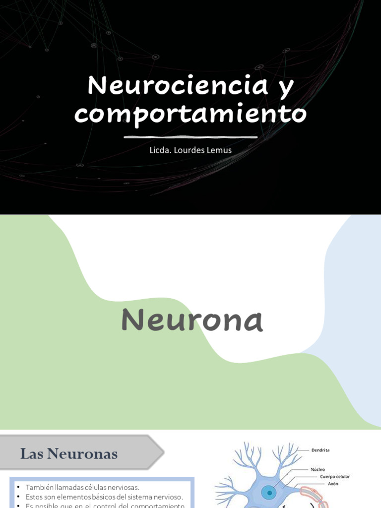 Neurociencia del Comportamiento Humano | PDF | Neurona | Sistema nervioso