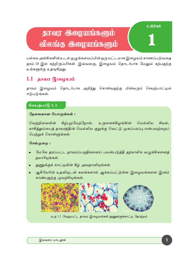 Tg11 Sci New Chap1 | PDF