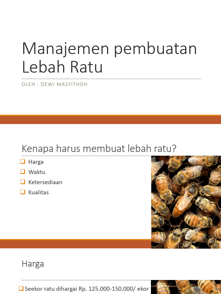 Manajemen Pembuatan Lebah Ratu | PDF