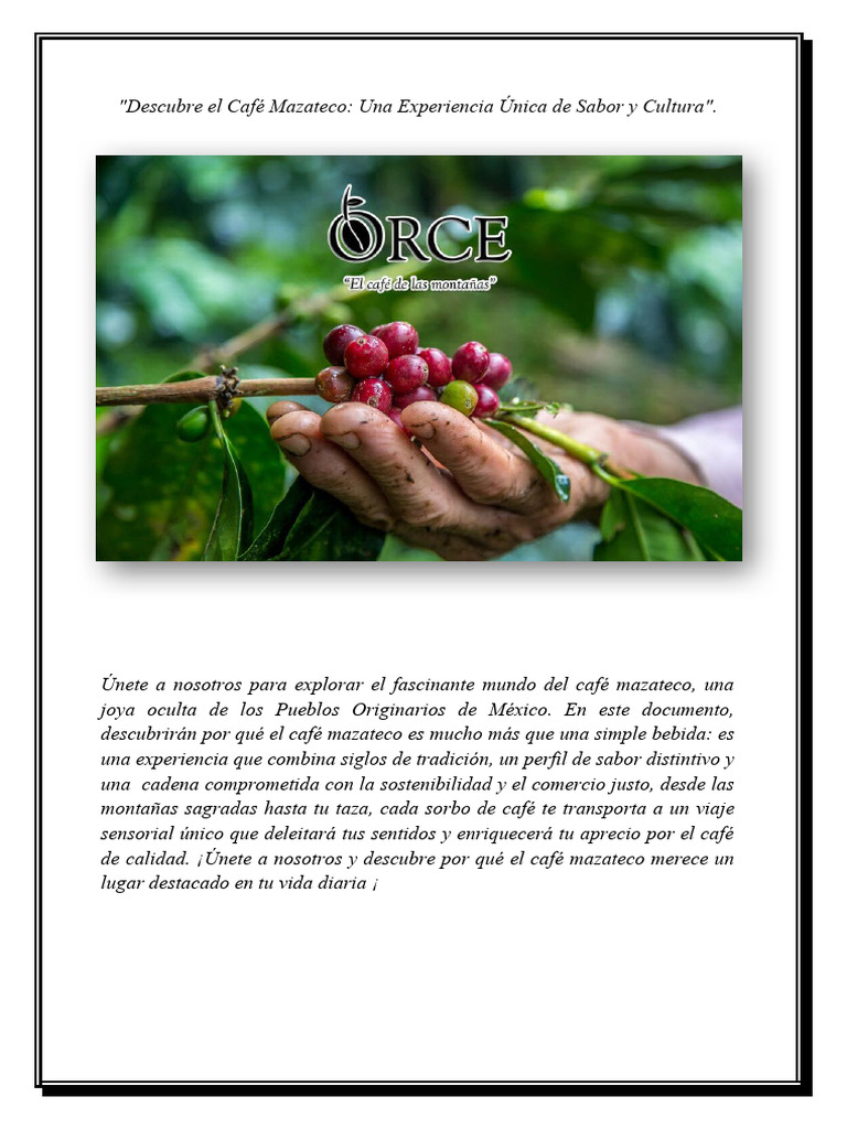 Café Mazateco | PDF | café | Agricultura