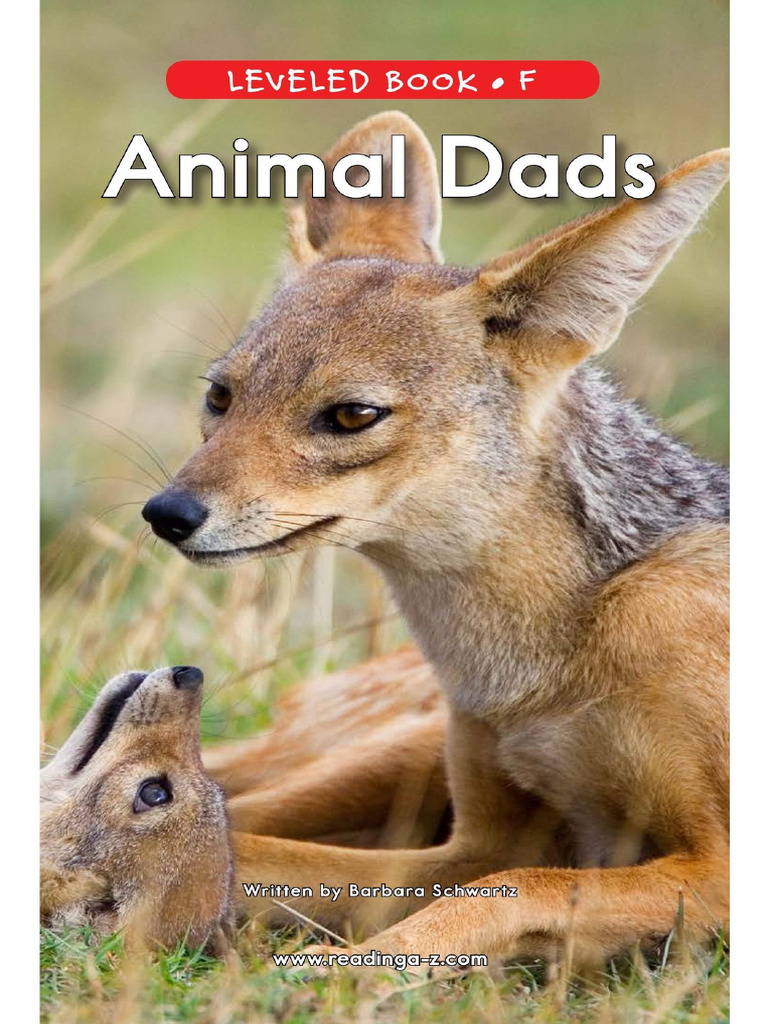 Animal Dads | PDF