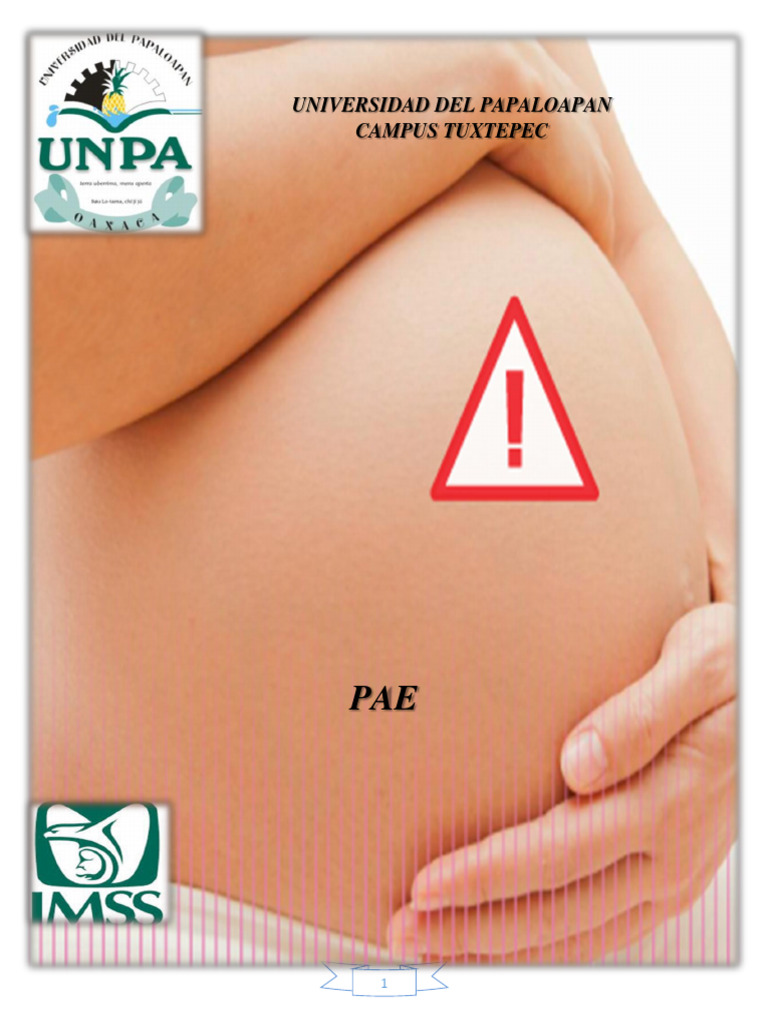 PAE- Embarazo de Alto Risgo - Itzel. Vanessa | PDF | El embarazo | Parto prematuro