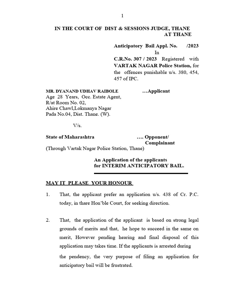 Interim Bail Application | PDF